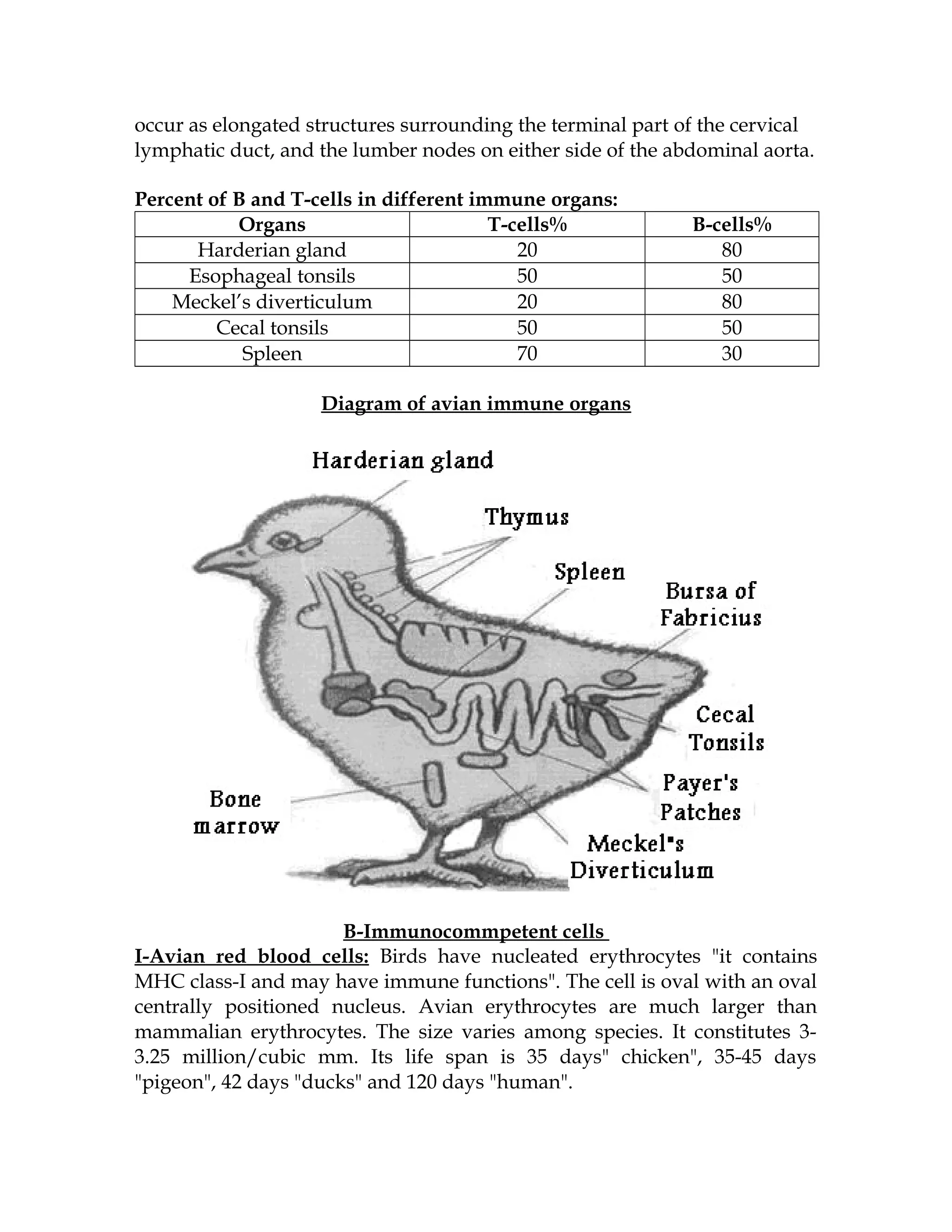Structure of avian immune system Dr Fares El-Khayat | DOC