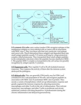 Structure of avian immune system Dr Fares El-Khayat | DOC