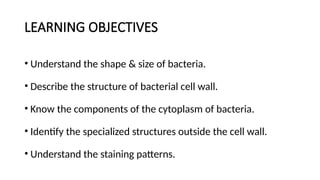Structure of bacteria 1 and gram stainng | PPTX