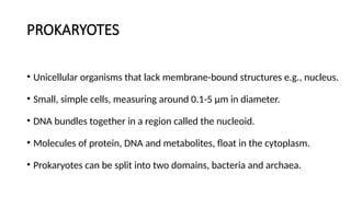 Structure of bacteria 1 and gram stainng | PPTX