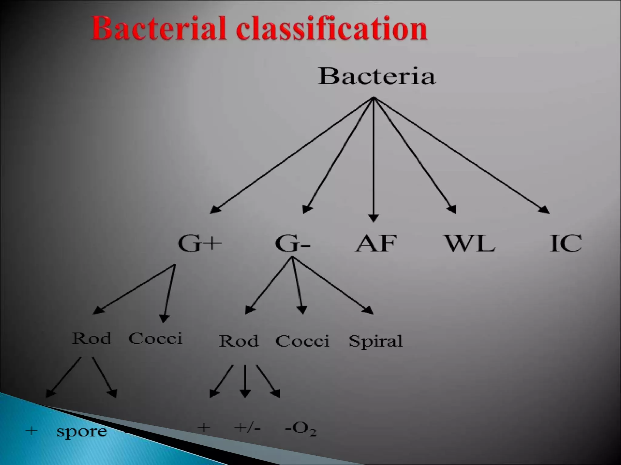 Structure of bacteria and its classification | PPT