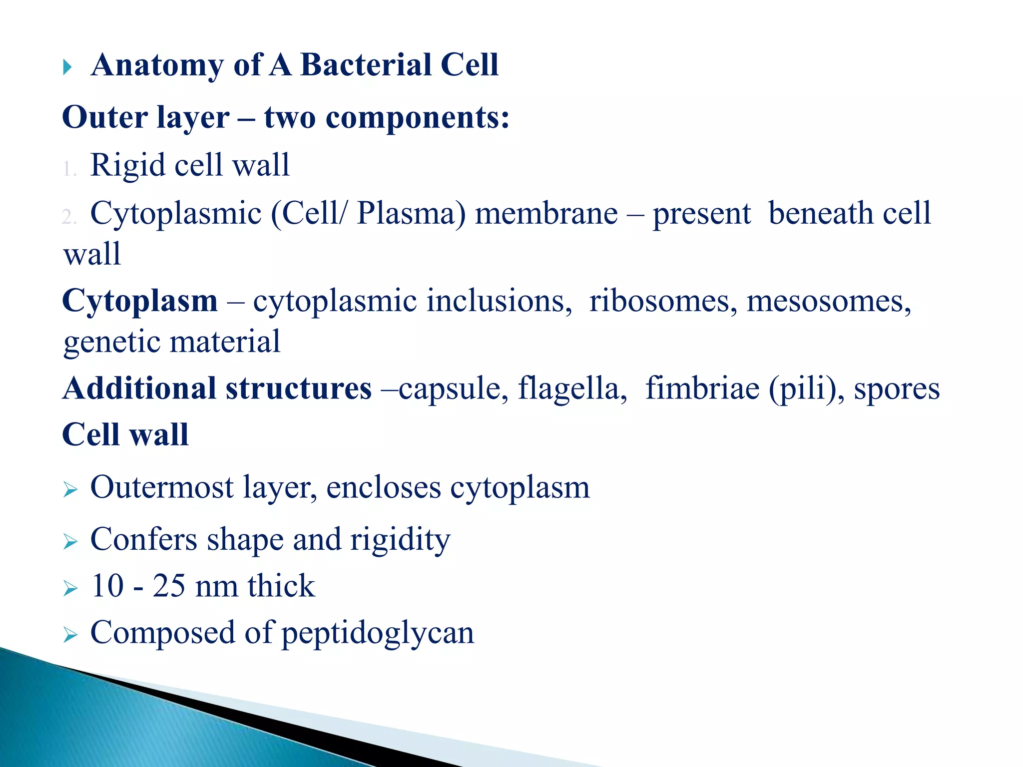 Structure of bacteria and its classification | PPT