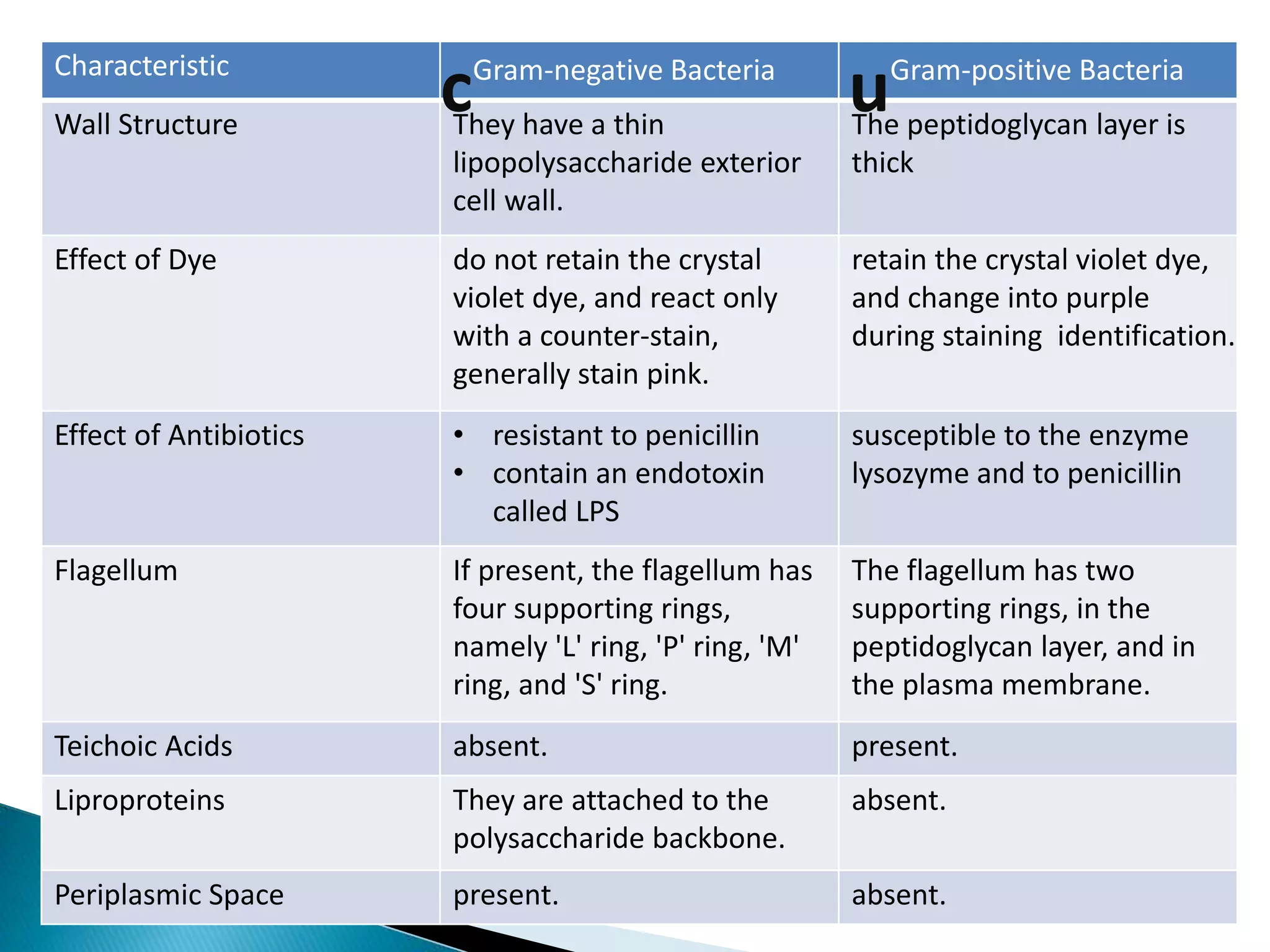 Structure of bacteria and its classification | PPT