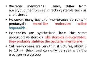 Structure of bacteria | PPTX