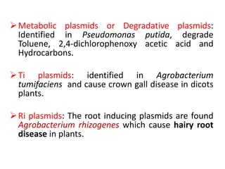 Structure of bacteria | PPTX