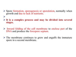 Structure of bacteria | PPTX