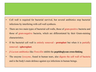 Structure of Bacteria | PPTX