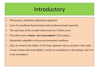 Structure of Bacteria | PPT