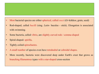 Structure of Bacteria | PPT