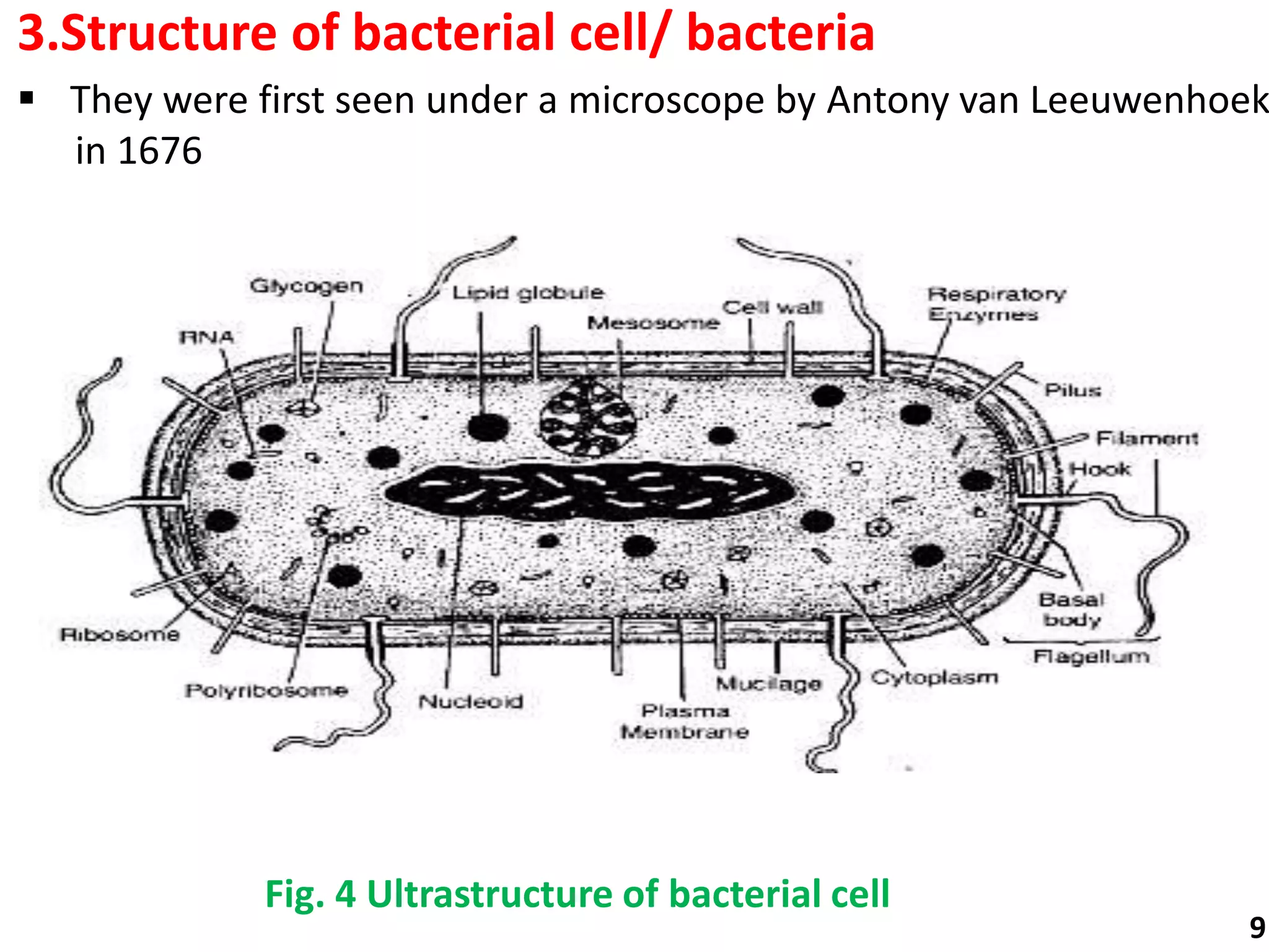 structure of bacteria and nutrition of microorganism.pptx