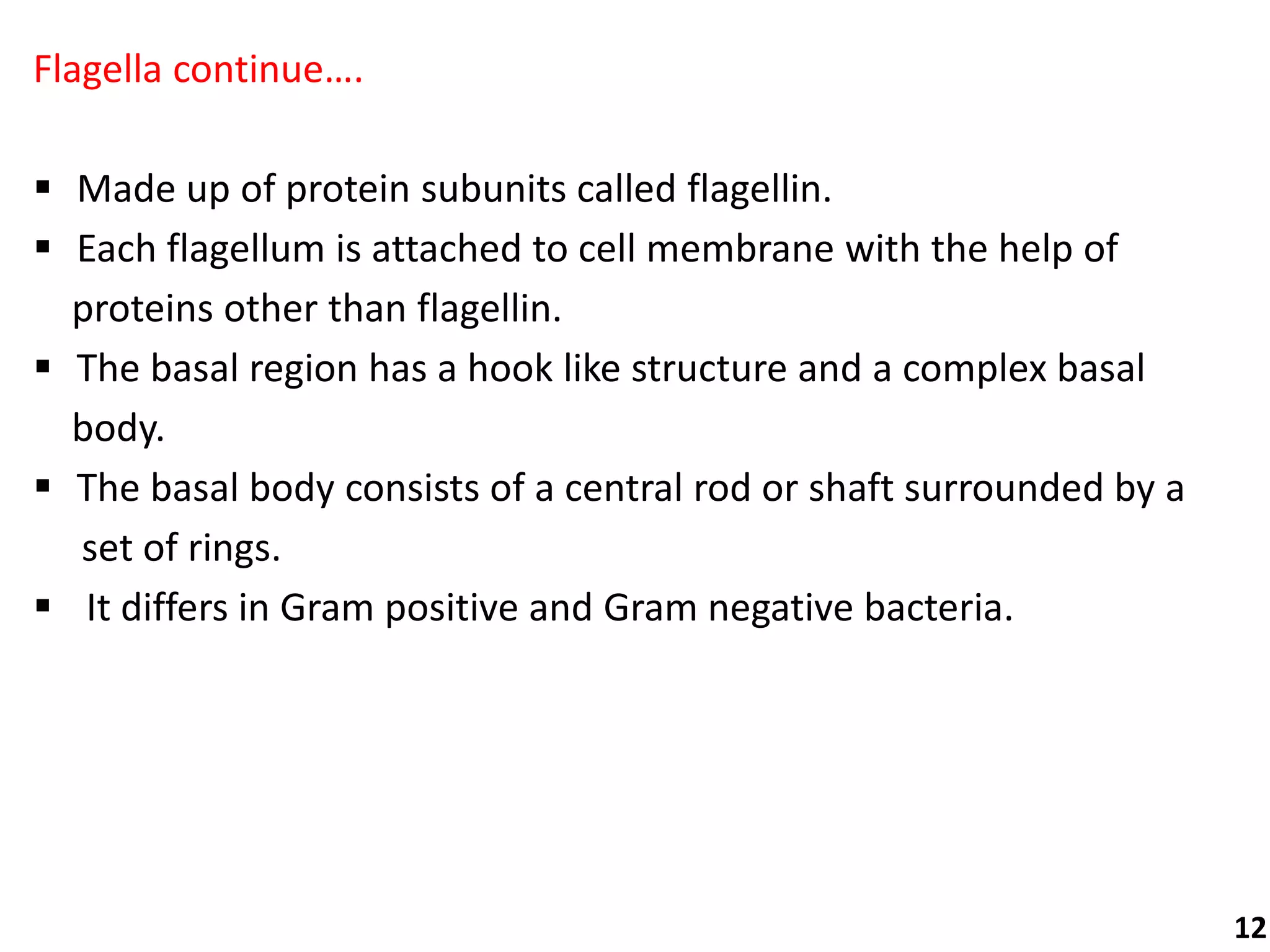 structure of bacteria and nutrition of microorganism.pptx