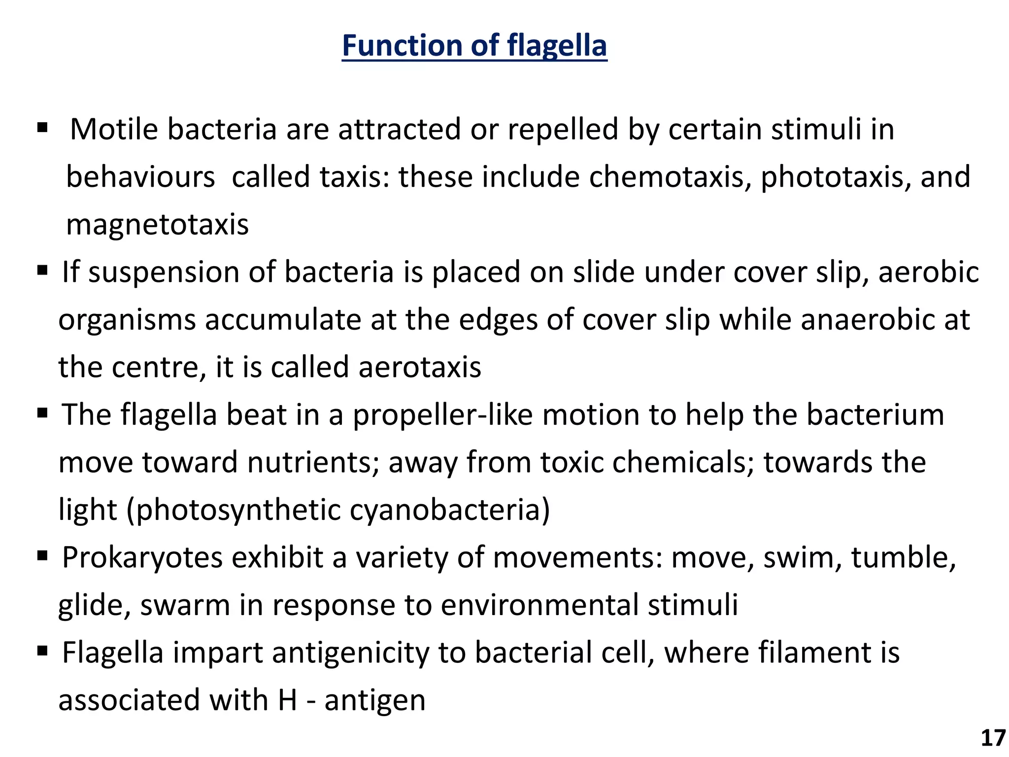 structure of bacteria and nutrition of microorganism.pptx