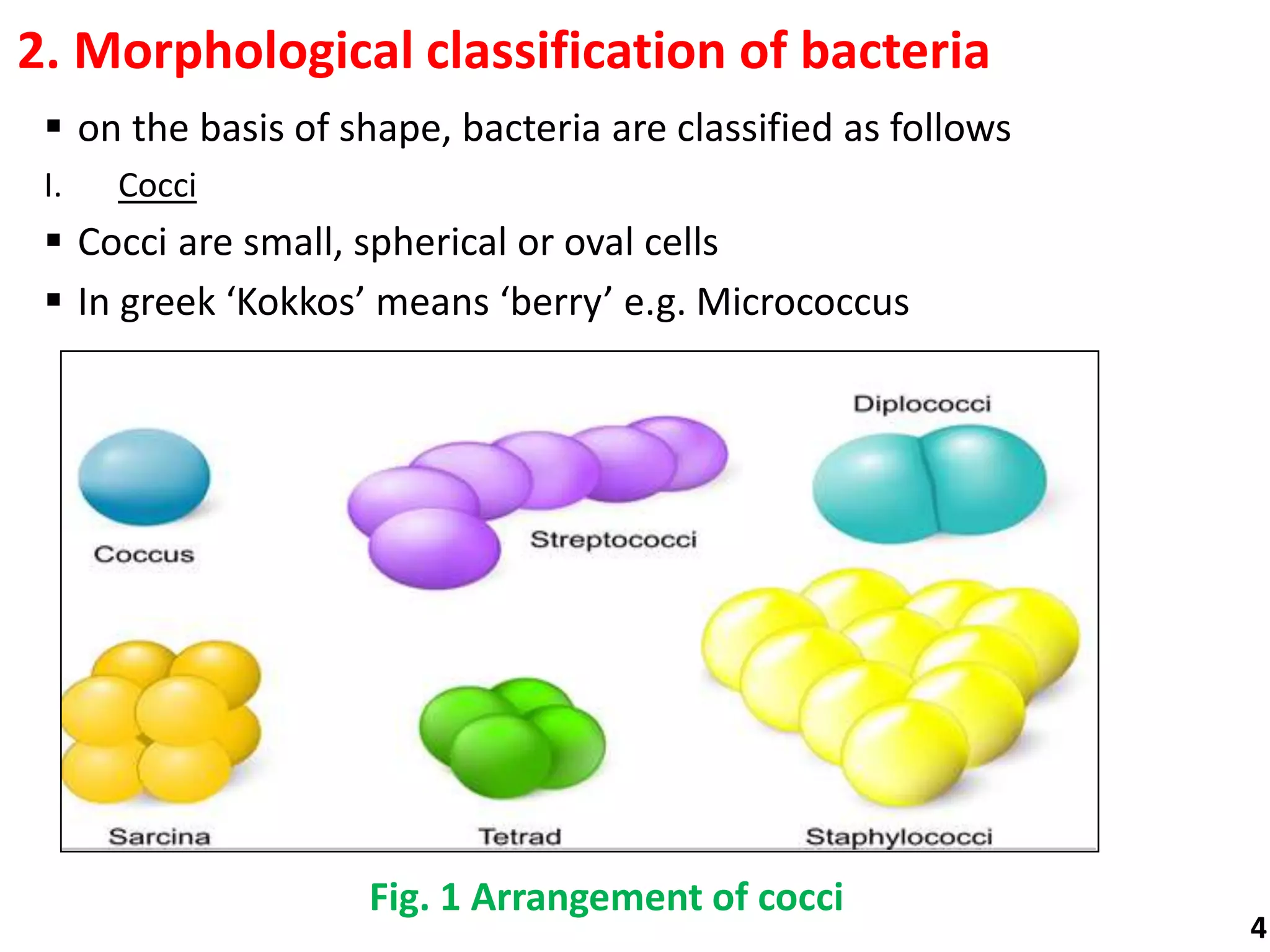 structure of bacteria and nutrition of microorganism.pptx