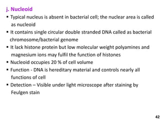 structure of bacteria and nutrition of microorganism.pptx