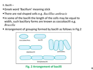 structure of bacteria and nutrition of microorganism.pptx