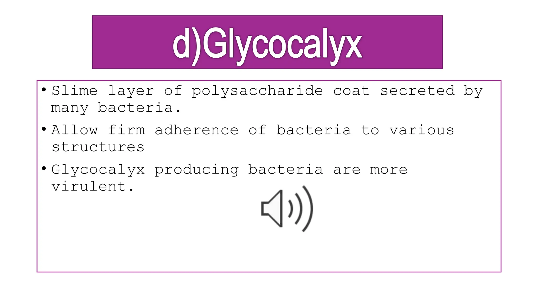 Microbiology Structure Of Bacteria Pptx