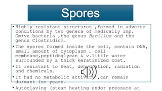 Microbiology, structure of bacteria.pptx
