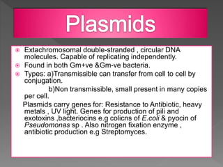 Clinical microbiology structure of bacteria.pptx | Biological Sciences ...