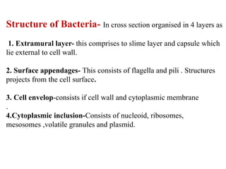 Microbiology structure_of_bacteria (2).pptx