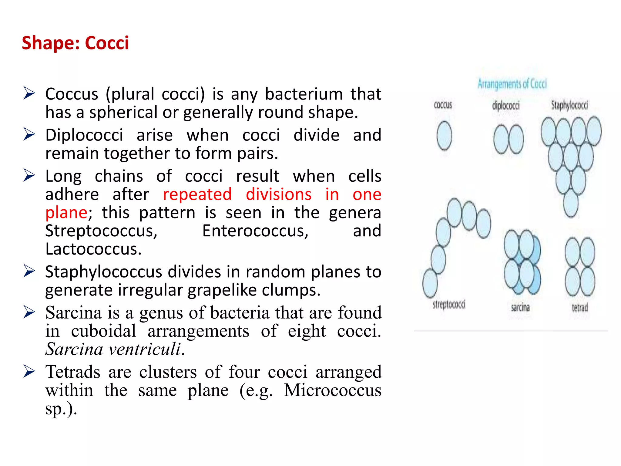 structureofbacteriaandclassificationofbacteria-210215092557.pdf