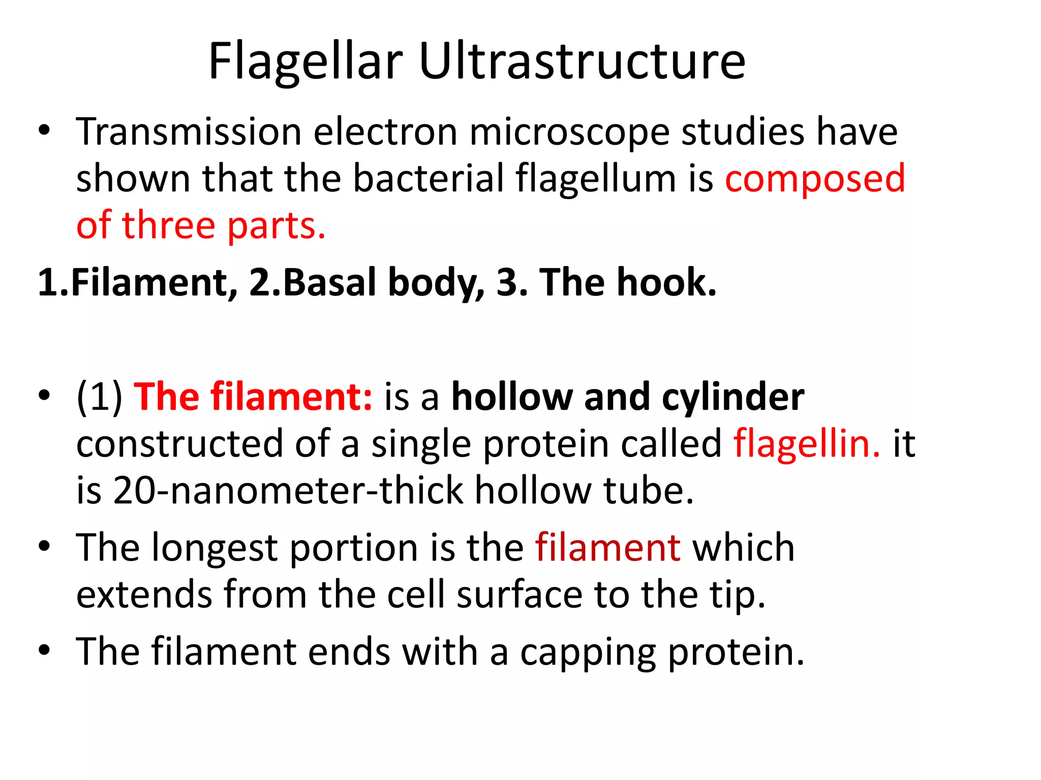 structureofbacteriaandclassificationofbacteria-210215092557.pdf