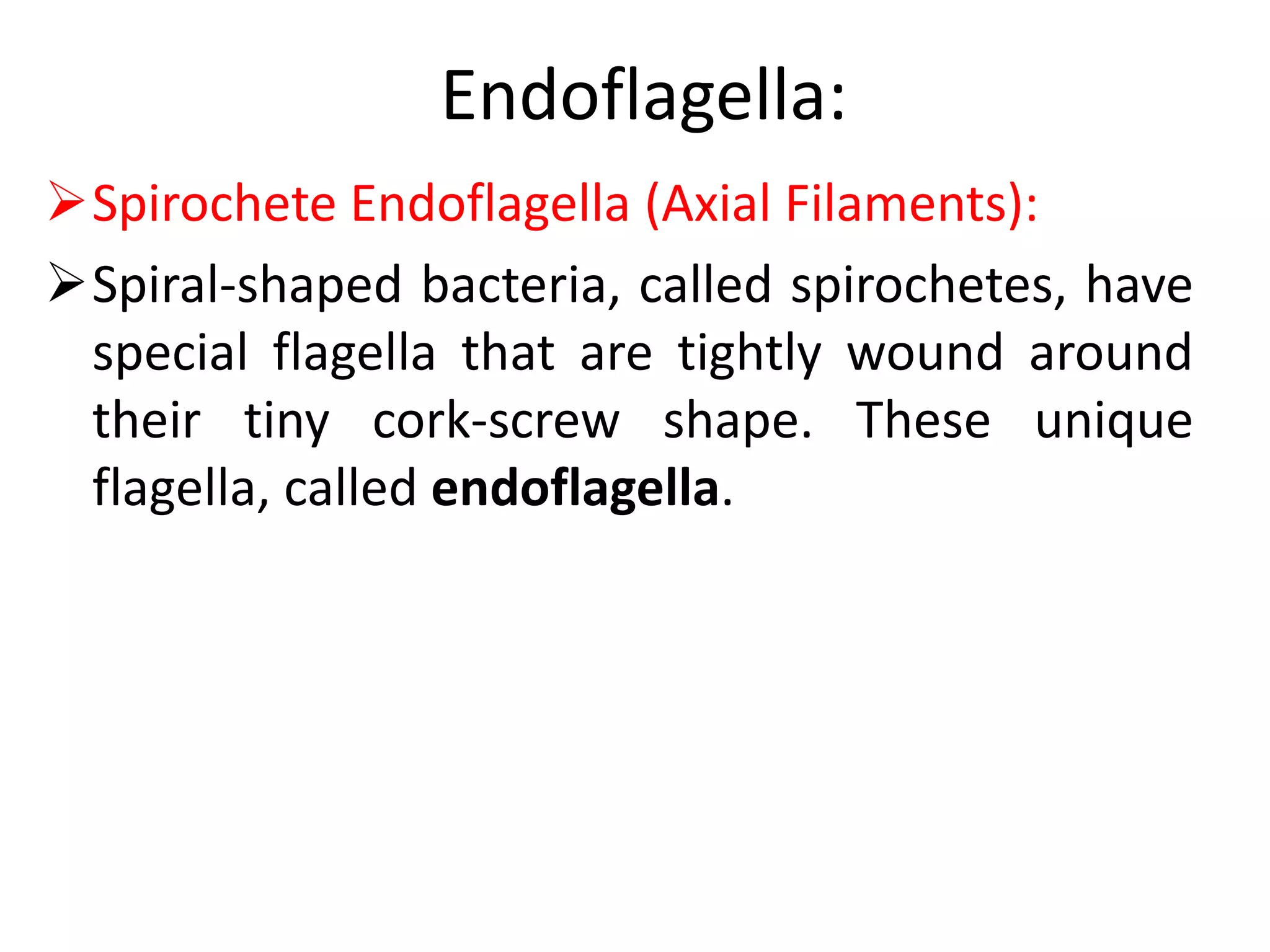 structureofbacteriaandclassificationofbacteria-210215092557.pdf