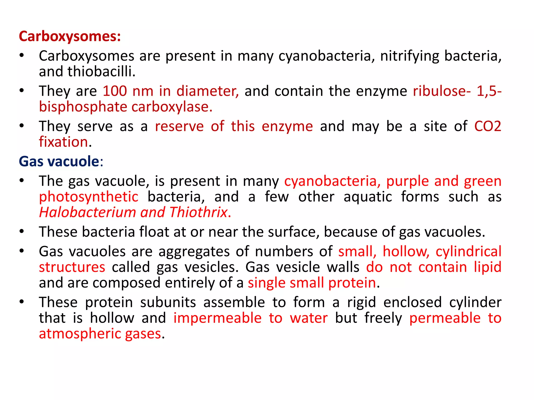 structureofbacteriaandclassificationofbacteria-210215092557.pdf