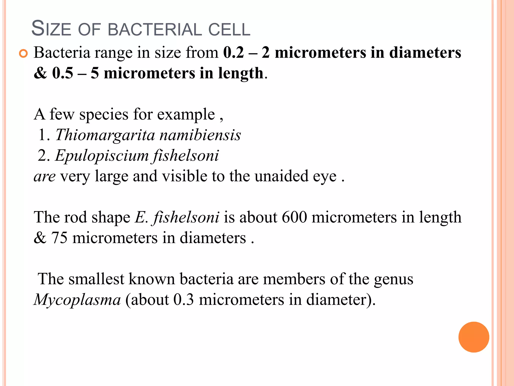 Structure of bacterial cell | PPTX