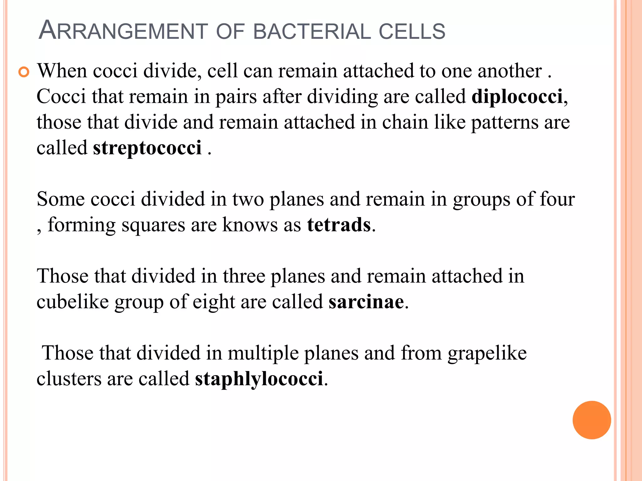 Structure of bacterial cell | PPTX