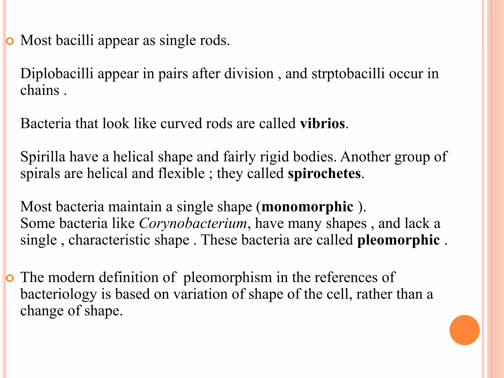Structure of bacterial cell | PPTX