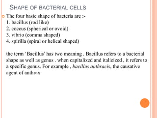 Structure of bacterial cell | PPT