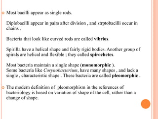 Structure of bacterial cell | PPT