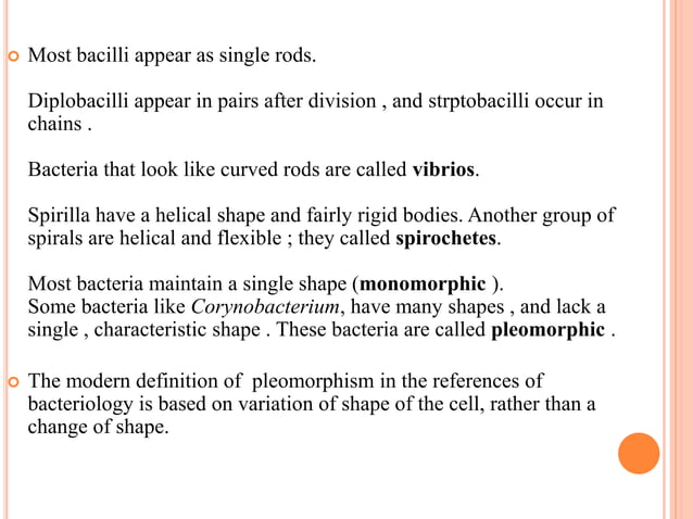 Structure of bacterial cell | PPT