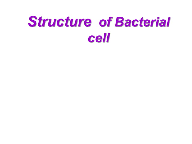 Structure of bacterial cell | PPTX