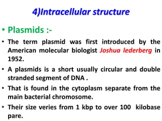 Structure of bacterial cell | PPTX