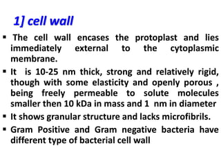 structureofbacterialcell-180806181503 (1).pdf