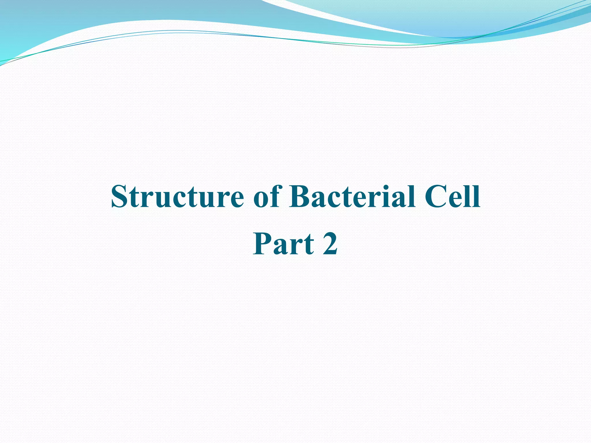 Structure of bacterial cell | PPTX
