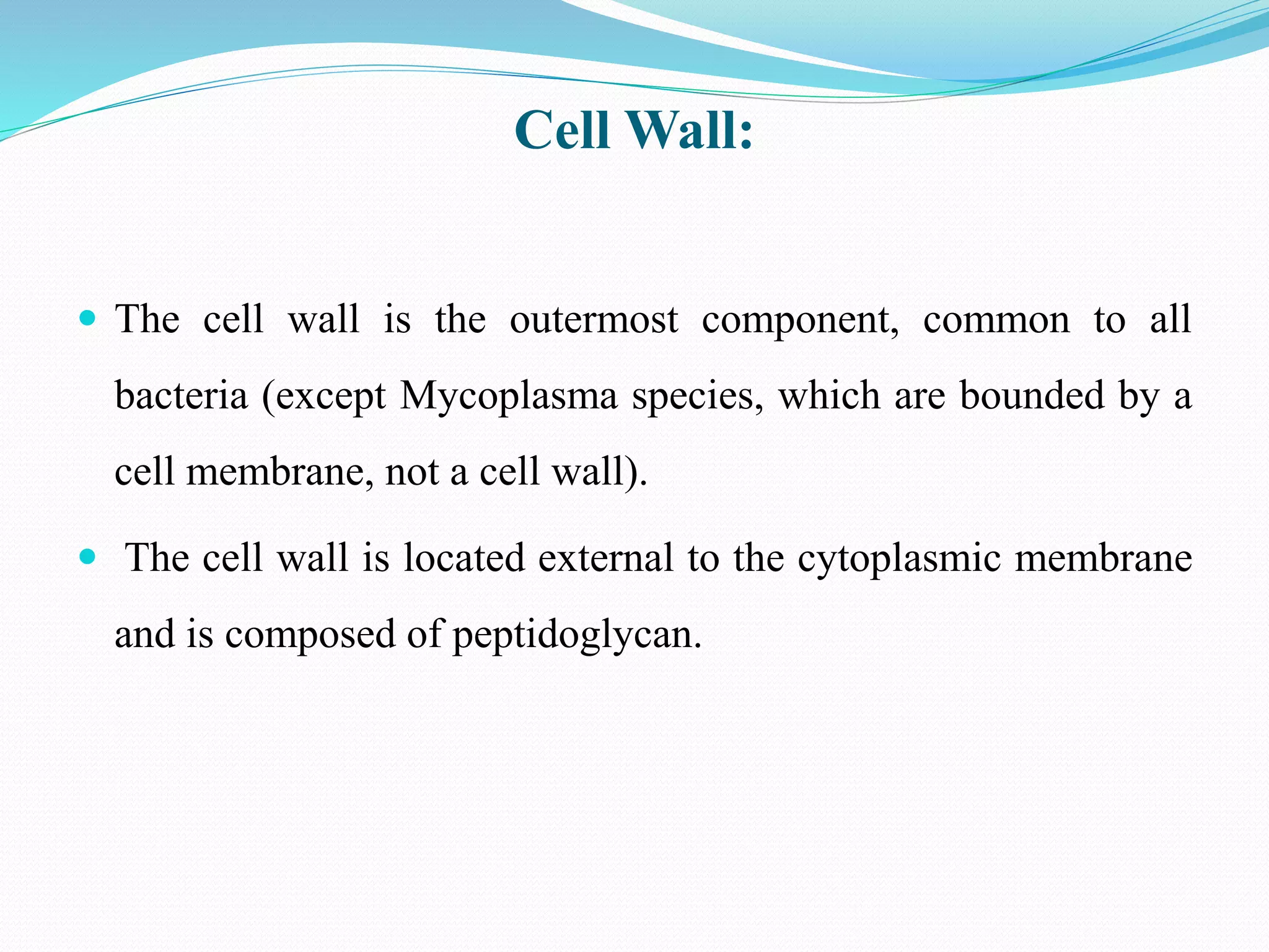 Structure of bacterial cell | PPTX