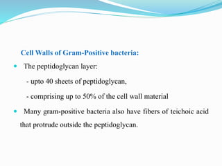 Structure of bacterial cell | PPTX