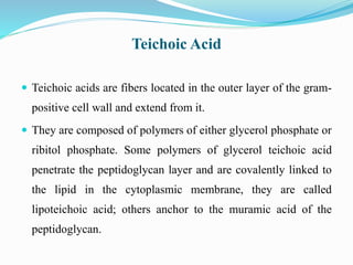 Structure of bacterial cell | PPTX