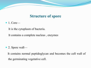 Structure of bacterial cell | PPTX