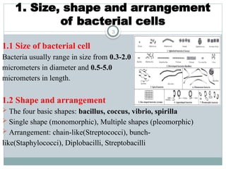 Structure of bacterial cell-An overview..pptx