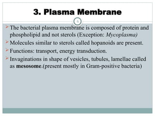Structure of bacterial cell-An overview..pptx