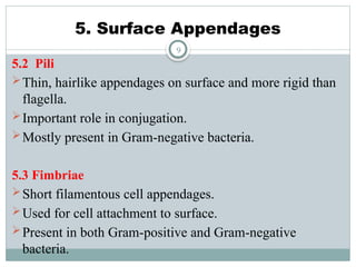 Structure of bacterial cell-An overview..pptx