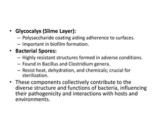 Structure of Bacterial Cells and shape.pptx