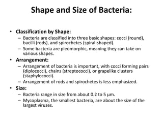 Structure of Bacterial Cells and shape.pptx