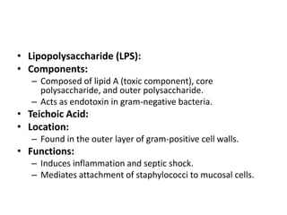 Structure of Bacterial Cells and shape.pptx