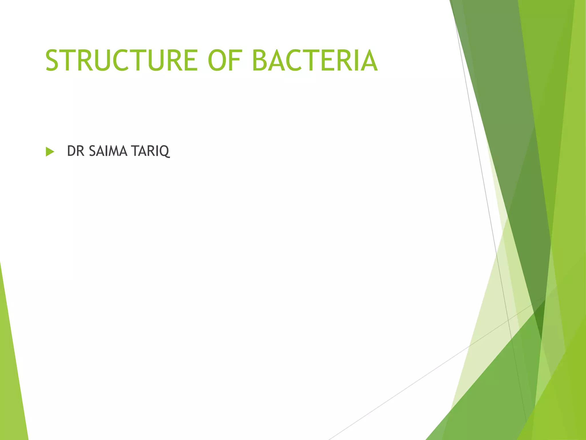 structure of bacteria PPT N.pptx