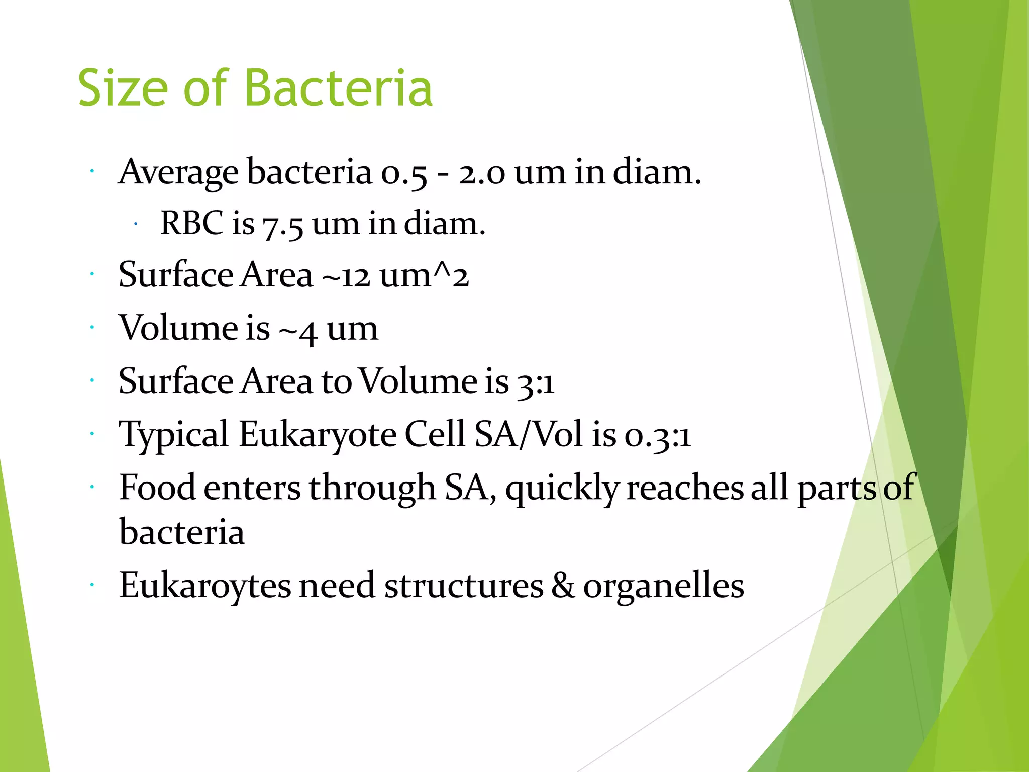 structure of bacteria PPT N.pptx