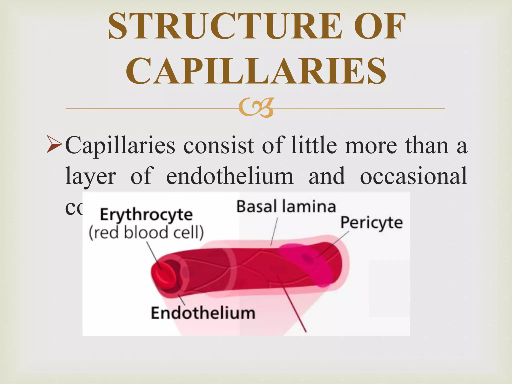 Structure of blood vessel | PPTX